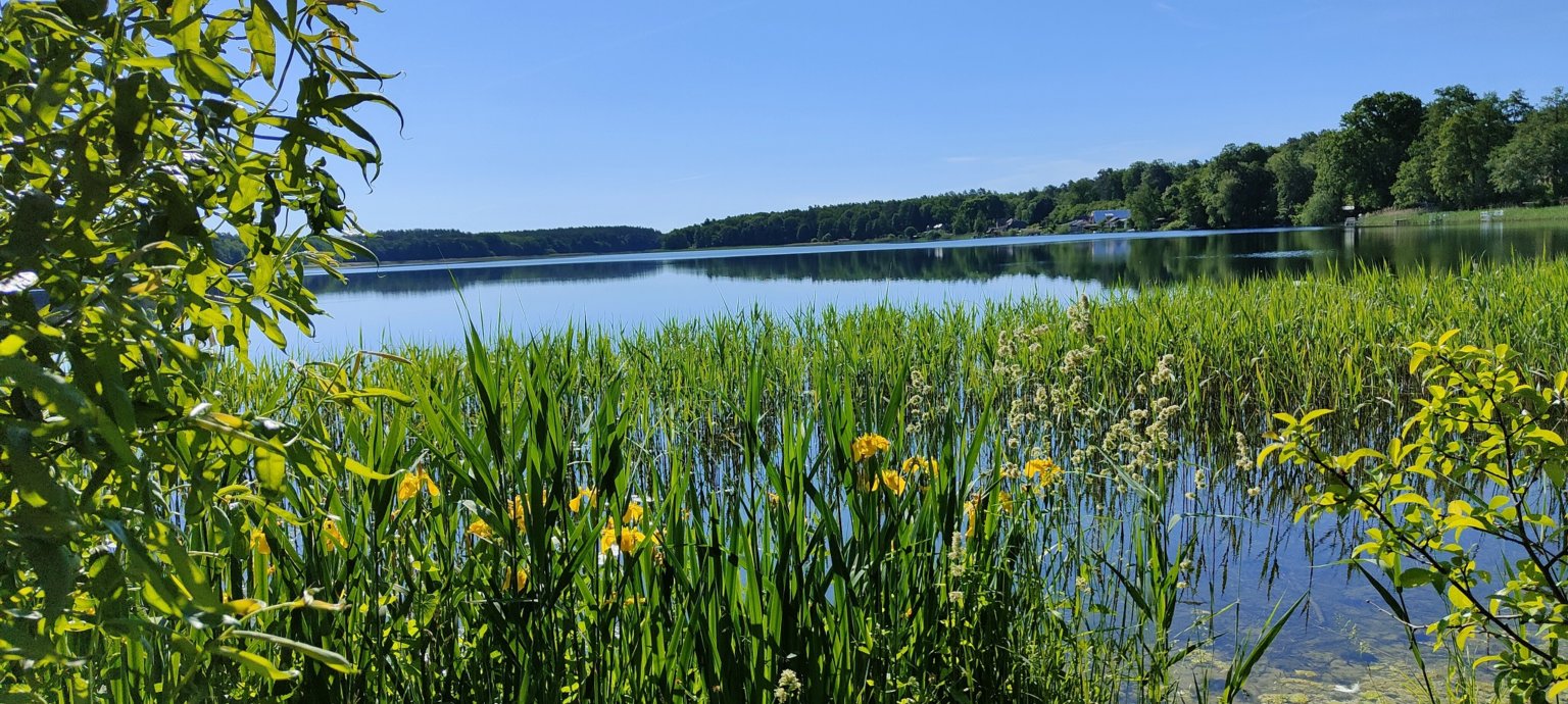 Wasser hoch Drei - Lindow (Mark) - Stadt der drei Seen